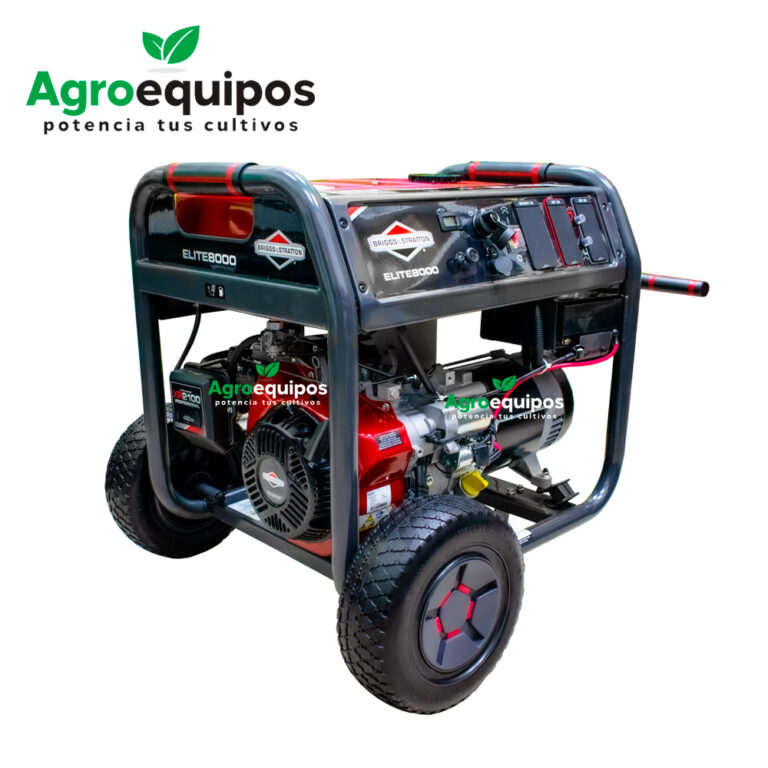 GENERADOR BRIGGS Y STRATTON 8000 WATTS - AGRO EQUIPOS