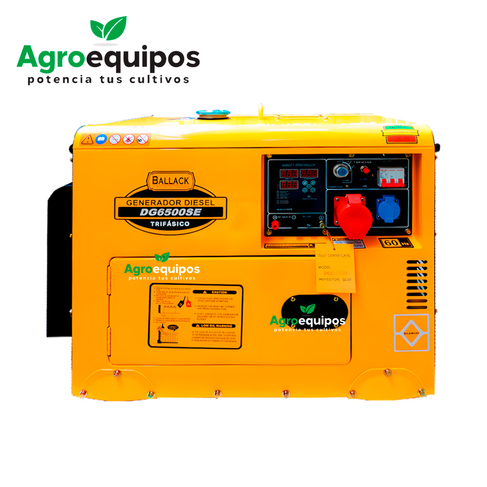 GENERADOR BRIGGS Y STRATTON 8000 WATTS - AGRO EQUIPOS